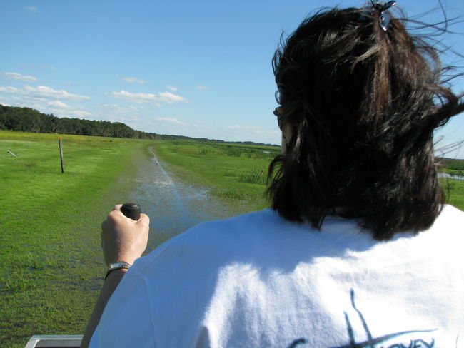 Lady Plum | Southern Airboat Forum