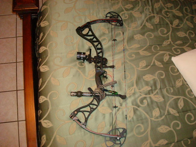 My new Destroyer 350 BLACK OPS - TexasBowhunter.com Community ...